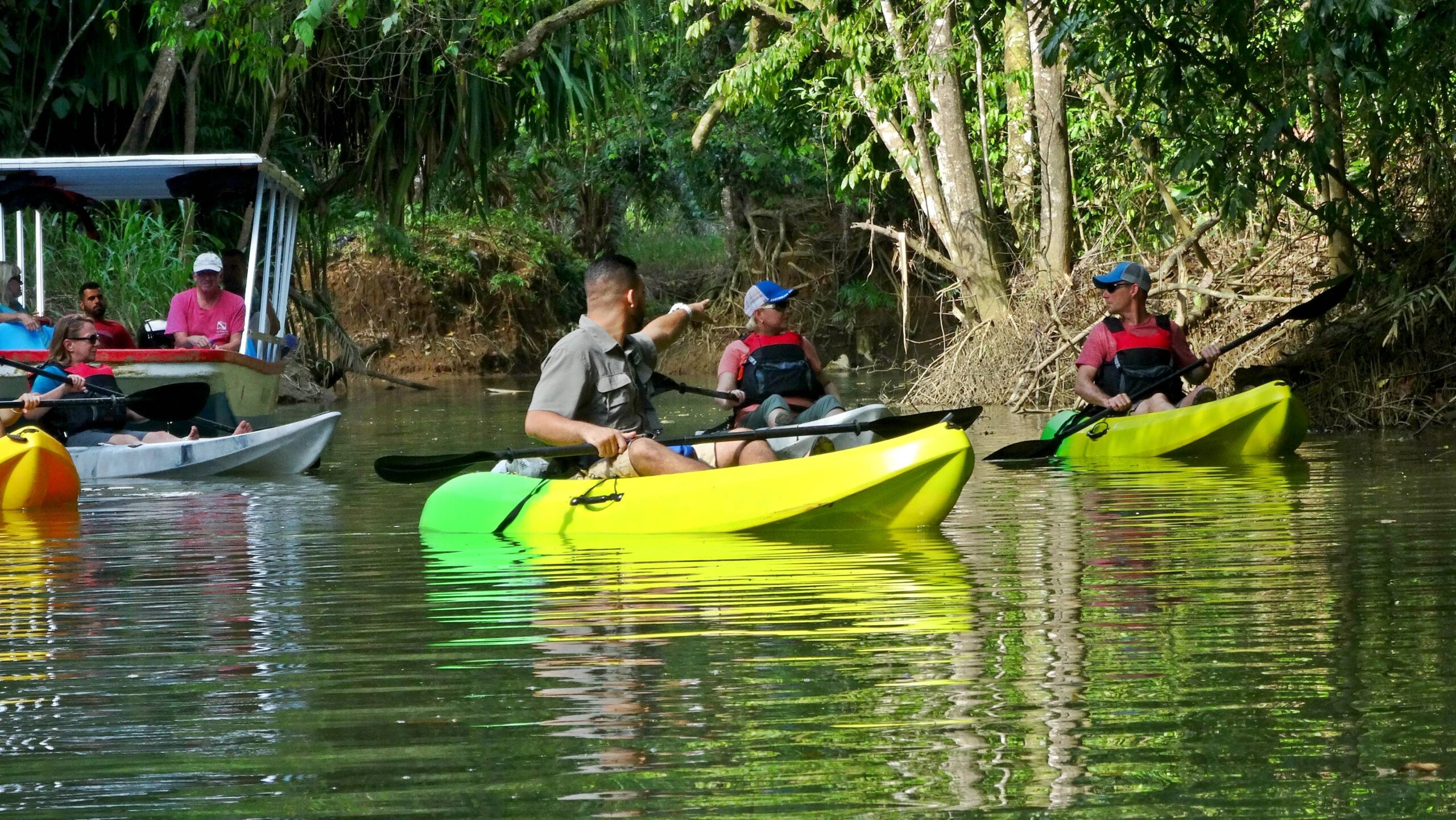 MANGROVE KAYAK TOUR - Majetski